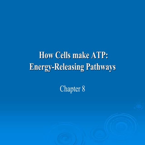 Chapter 8-How cells make ATP-F2022.pdf