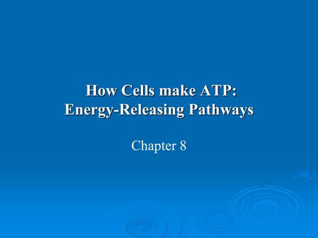 Mitochondria and ATP production | PPTX