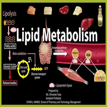 Lipid metabolism | PPTX