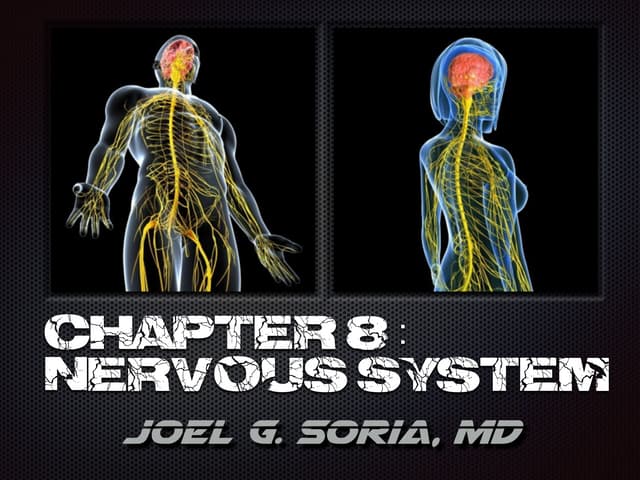 Chapter 8 nervous system | PDF Chapter 8 nervous system | PDF