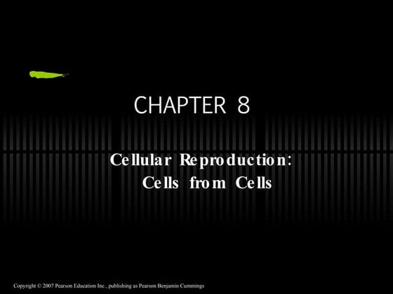Life Sciences Grade10, Cell Division: Mitosis (and cancer) | PPTX ...