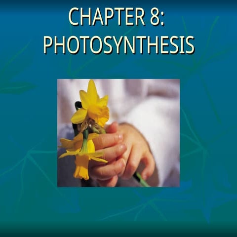 CHAPTER 8 Biology about the introduction of photosynthesis.ppt