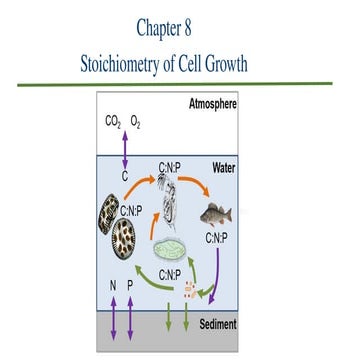 Chapter 8 for bioprocess engineerign - stoich of cell growth | PPTX