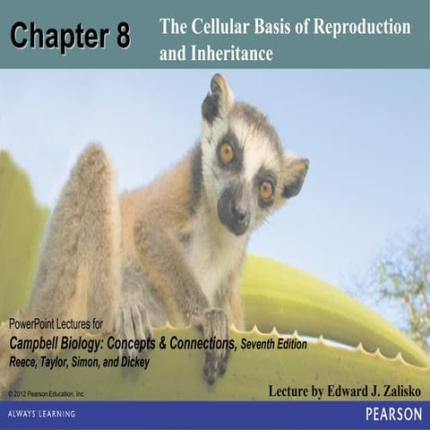 Chapter 8 notes | PPT