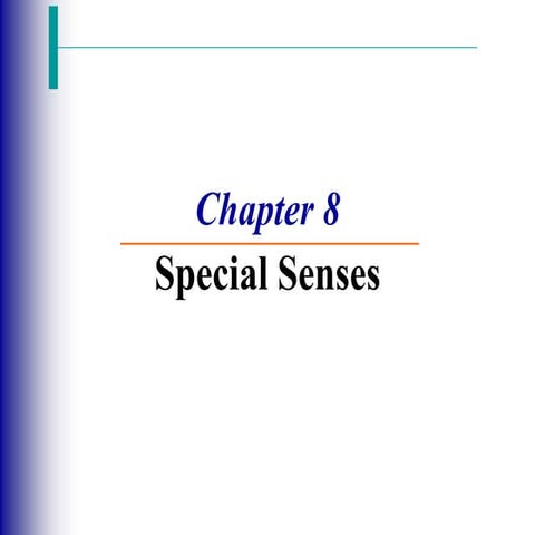 Chapter 8 ppt-senses.ppt