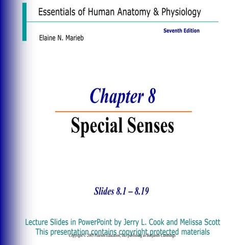 Chapter 8 ppt-senses (2).ppt | Eye and Vision Conditions | Diseases and Conditions