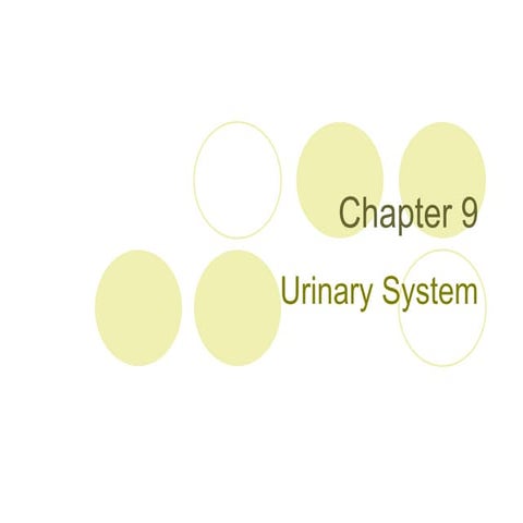 Chapter 9 urinary system abbreviations | PPTX