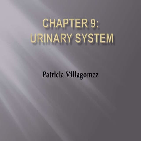 Intravenous pyelogram | PPTX