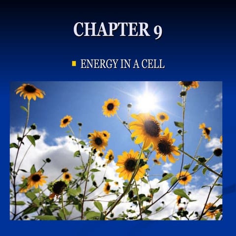 Chapter 9 Biology I | PPT | Chemistry | Science