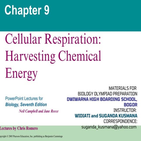Chapter 9 Cellular Respiration _ Harvetsing Chemical Energy .ppt_20241214_131731_0000.pdf