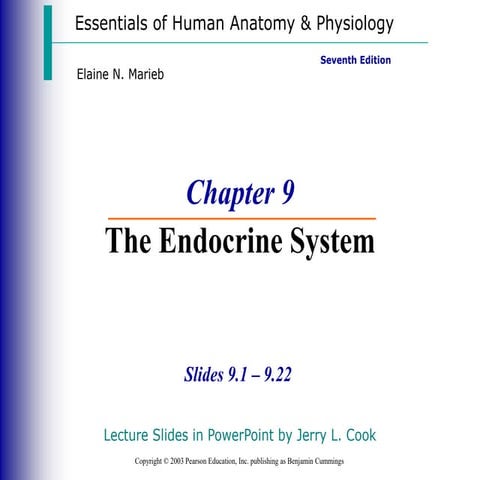 Endocrine System.ppt