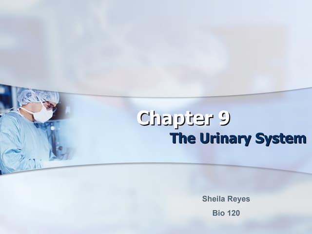 5 Abbreviations Regarding Urinary System | PPTX