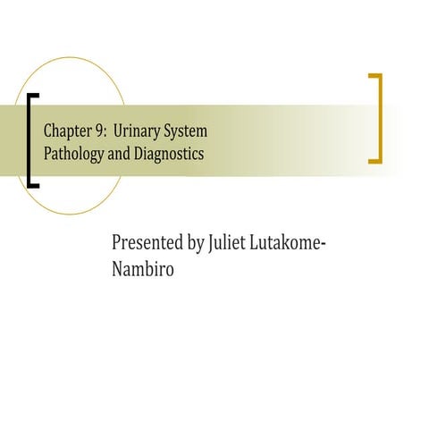Chapter 9 urinary system | PPT | Infectious Diseases | Diseases and ...