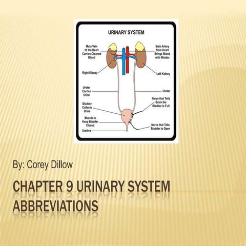 Chapter 9 urinary system abbreviations | PPTX