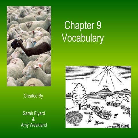 Visual Vocabulary | PPT