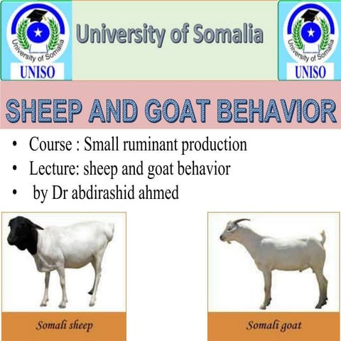 unit sheep and goat behavior | PPTX