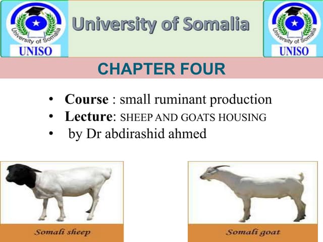 Lecture 2 food security | PPTX