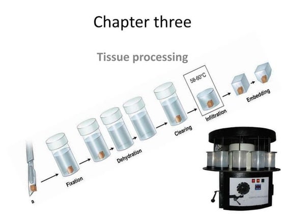 Tissue Preparation Histology | PPTX