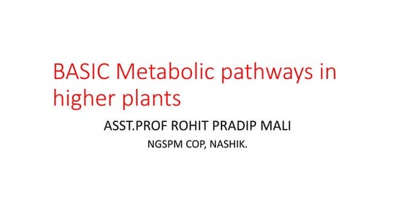 Basic metabolic pathways i | PPT