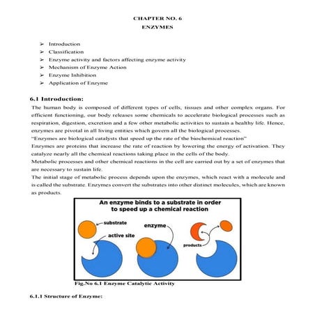 CHAPTER NO 6 Enzyme Biochemistry and Clinical Pathology | PDF