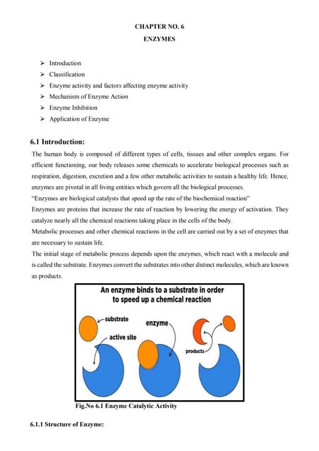 Chemistry of enzyme | PPT | Chemistry | Science