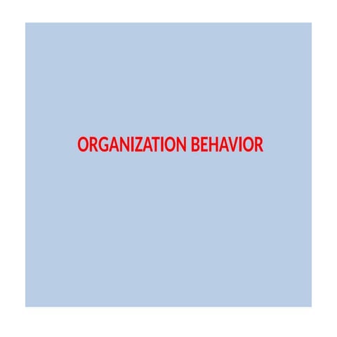Organizational behavior chapter one ppt. | PPTX