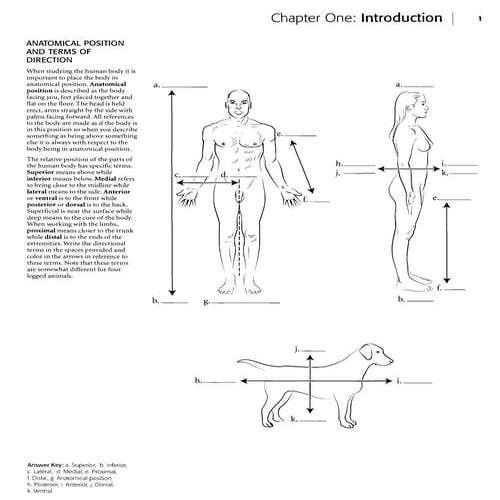 Chapter_One_Introduction_ANATOMICAL_POSI.pdf