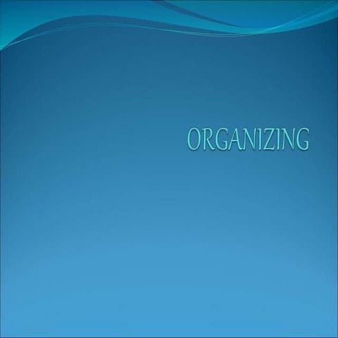 CHAPTER ORGANIZING.ppt