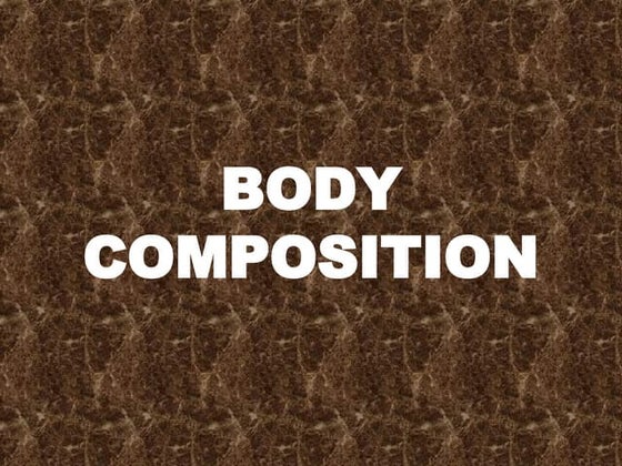 Body.comp