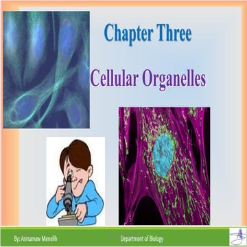 Cell Organelles | PPTX