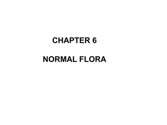 Normal Flora.pptx