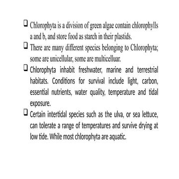 Chara algae Morphology Cell Structure Reproduction | PPTX