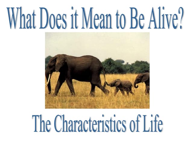 LT1.1 Characteristics of Life ppt | PPTX