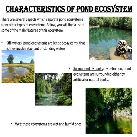 Pond ecosystem | PDF