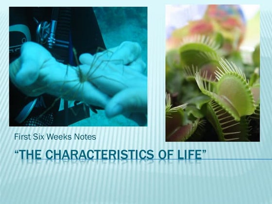 Characteristics_of_Living_Things presentation | PPT