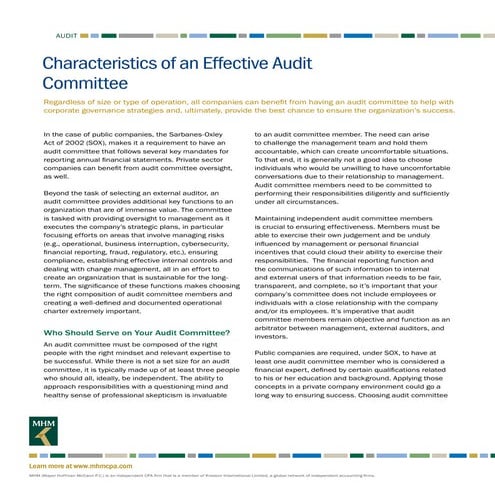 Characteristics of an Effective Audit Committee | PDF