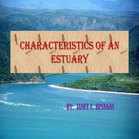 Characteristics of an estuary | PPTX
