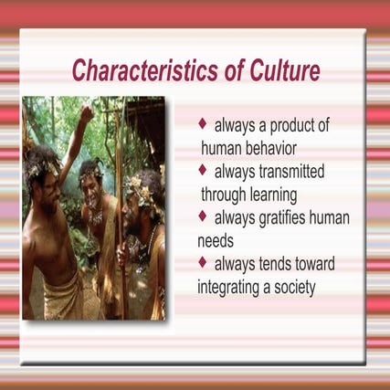 Components of culture | PPTX