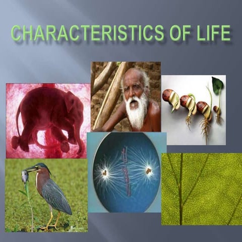 Characteristics of life | PPTX | Biological Sciences | Science