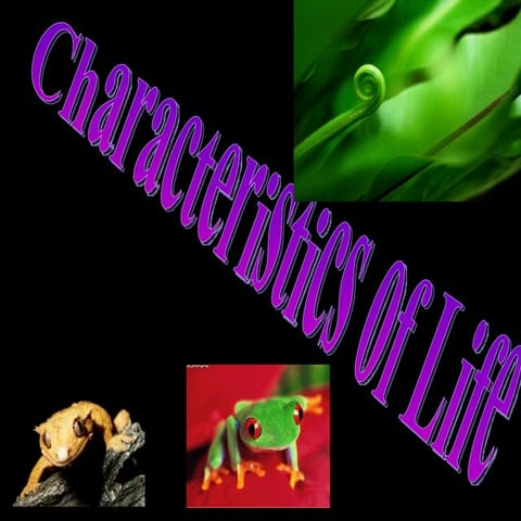 Characteristics of Life | PPT