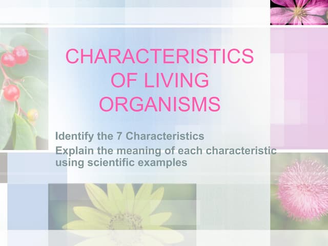 Characteristics of living things | PPT
