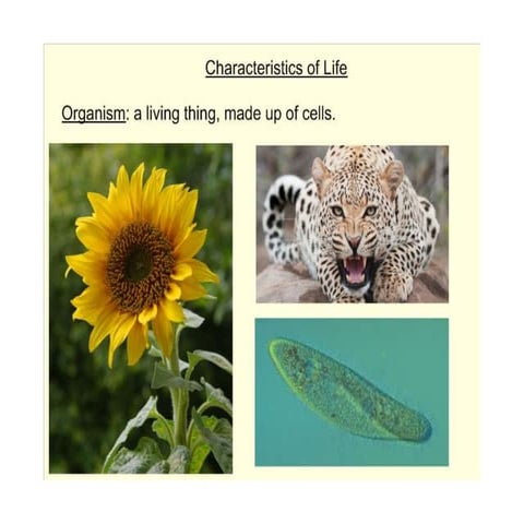 Characteristics of Life | PPT