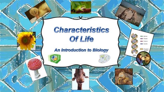 Characteristics Of Life | PPT | Biological Sciences | Science