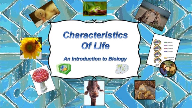 Characteristics Of Life | PPT