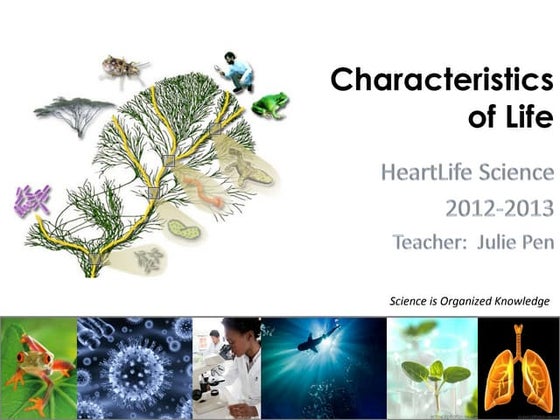 The 8 Life Processes & Homeostasis - Living Environment/Biology | PPTX