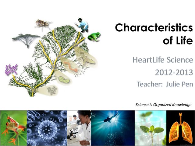 Characteristics Of Life | PPT