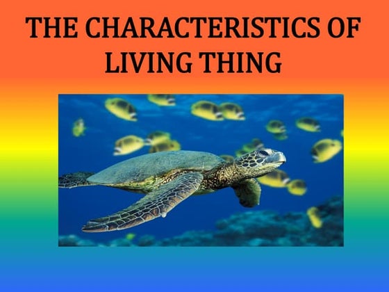Characteristics of Living Things | PPT | Biological Sciences | Science
