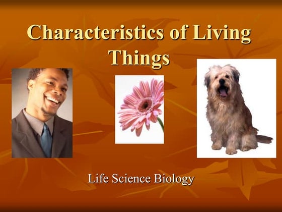 Living And Non - Living Things | PPT