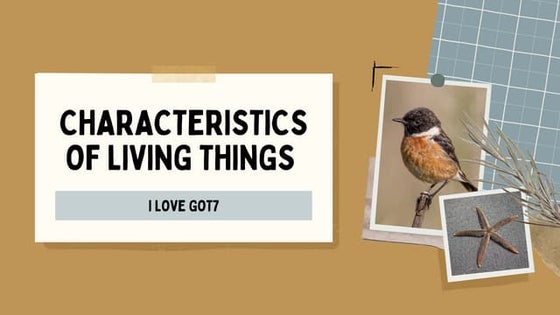 Characteristics of Living Things | PPT | Biological Sciences | Science