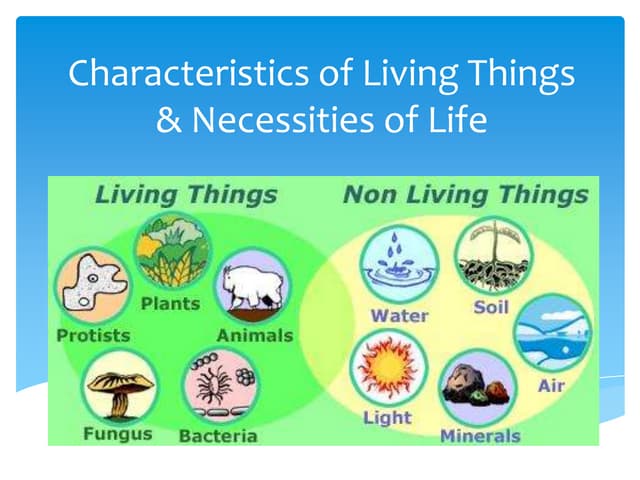 Characteristics of living things | PPT